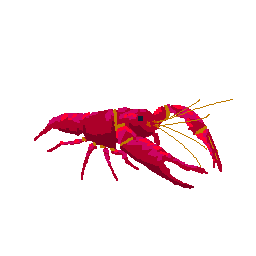 WEBFISHING Calculator