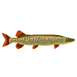 WEBFISHING Calculator