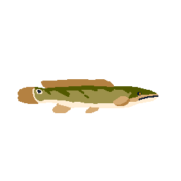 WEBFISHING Calculator