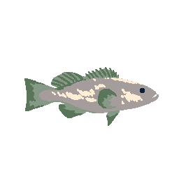 WEBFISHING Calculator