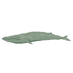 WEBFISHING Calculator